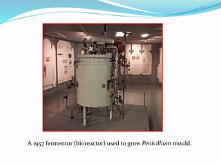 Penicillin production | PPTX