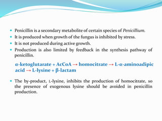 Penicillin production | PPTX