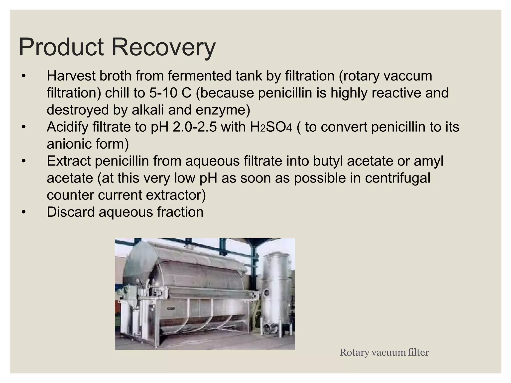 Penicillin Production.ppt