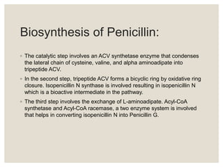 Penicillin Production.ppt
