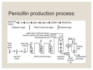 Penicillin Production.ppt