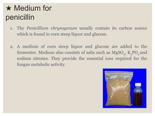 Penicillin Production.ppt