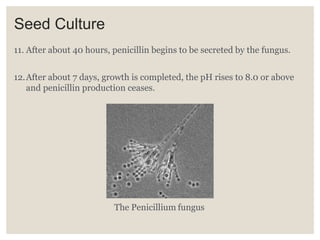 Penicillin Production.ppt
