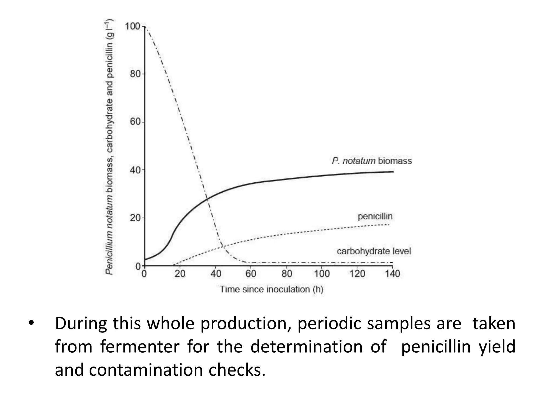 Penicillin production fermentation | PDF