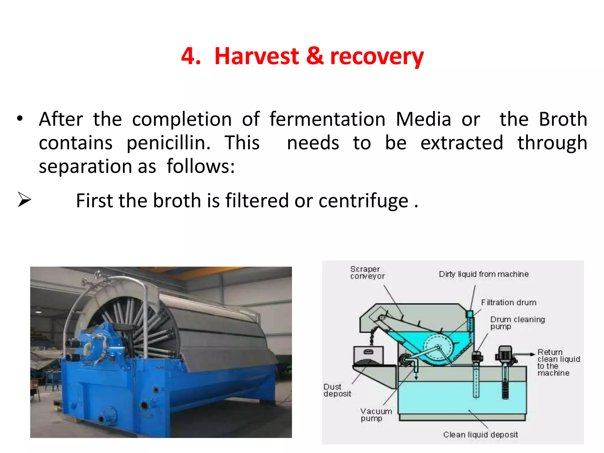 Penicillin production fermentation | PDF