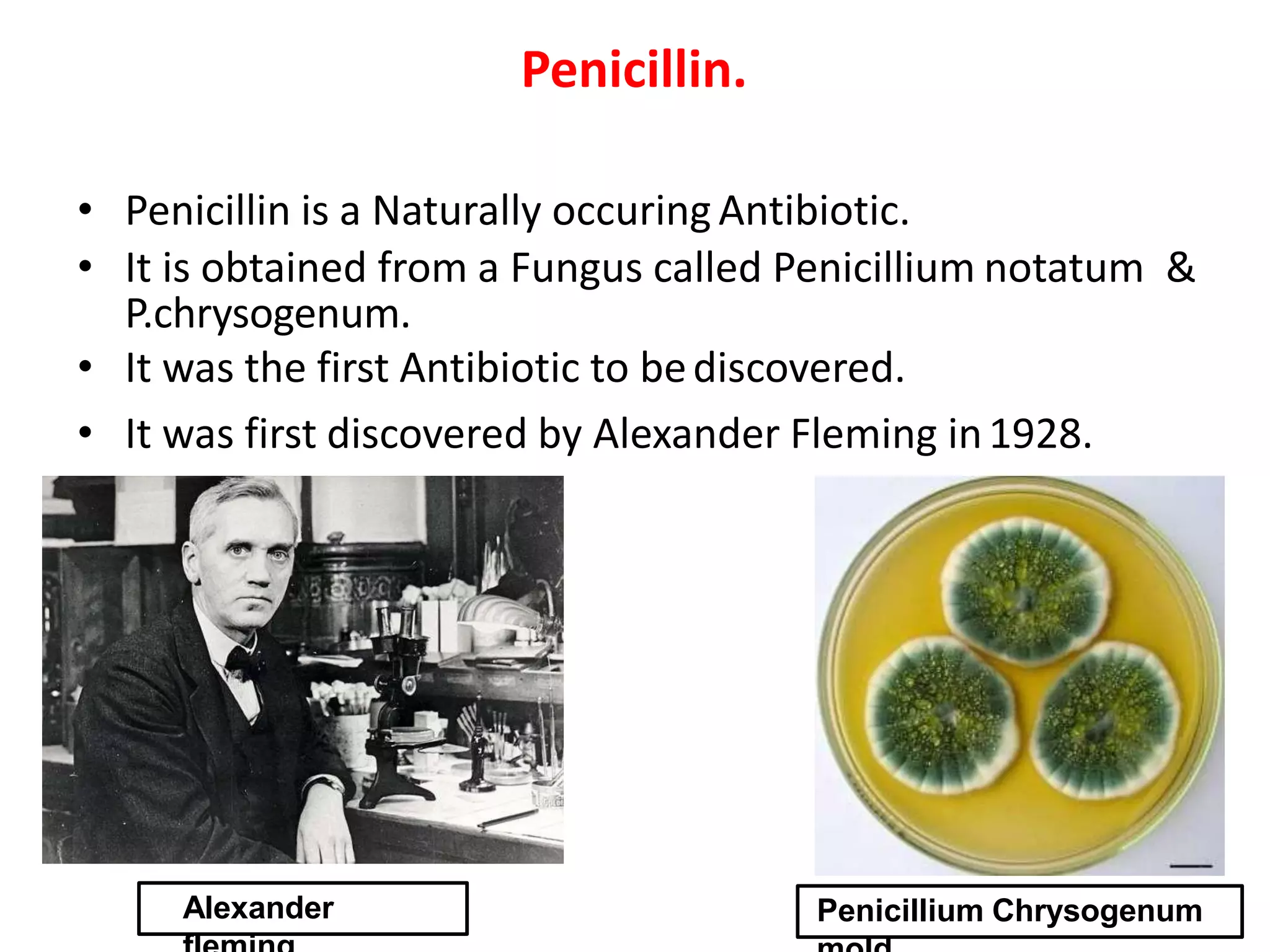 Penicillin production fermentation | PDF
