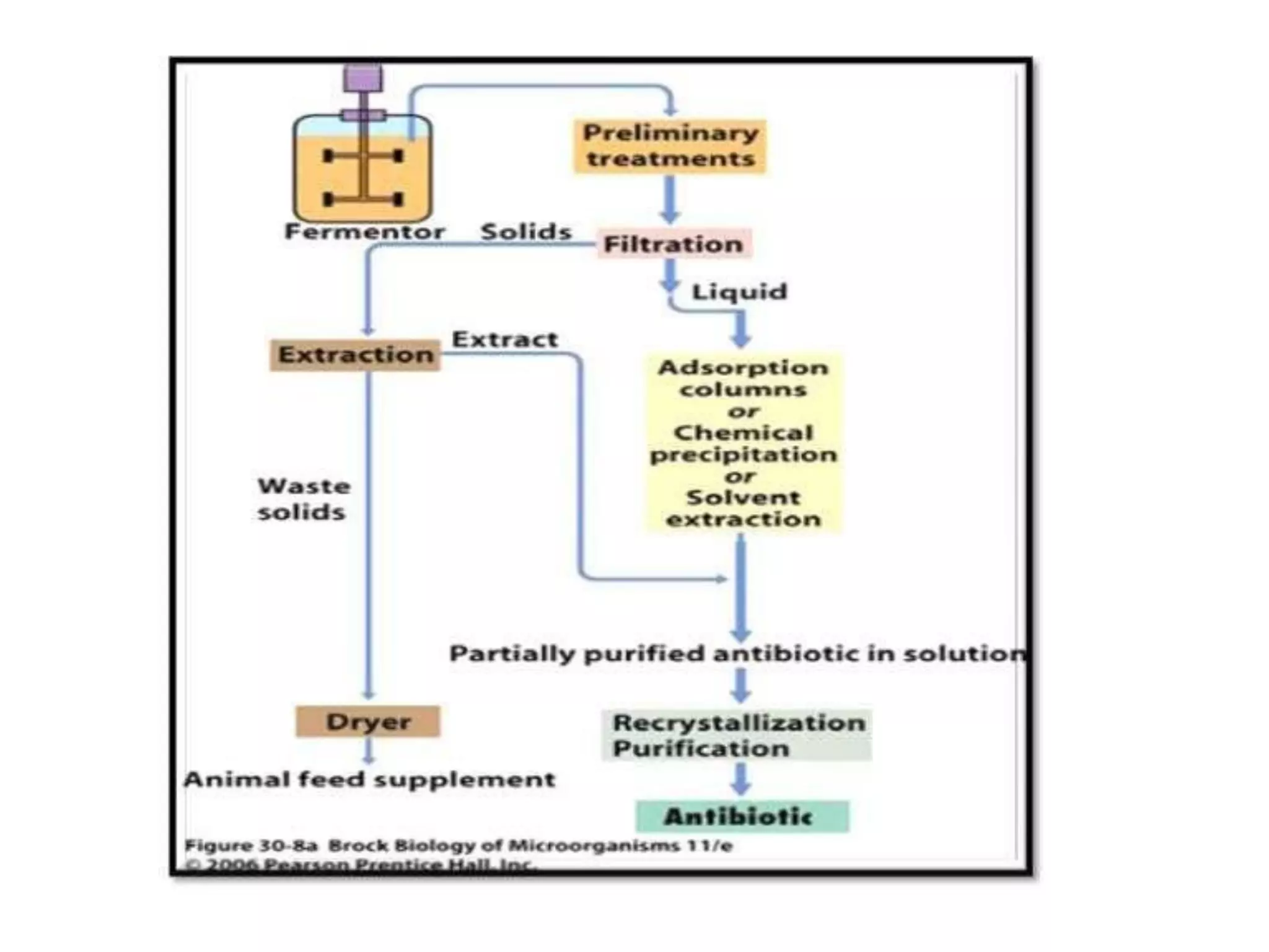 Penicillin production fermentation | PDF