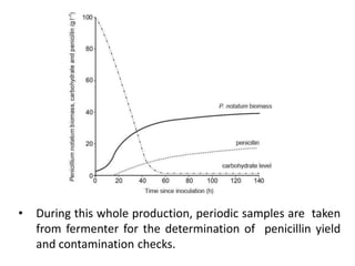 Penicillin production fermentation | PDF