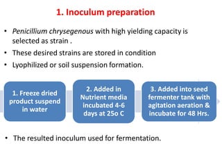 Penicillin production fermentation | PDF
