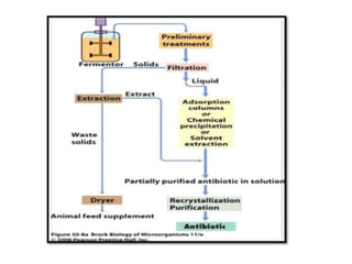 Penicillin production fermentation | PDF