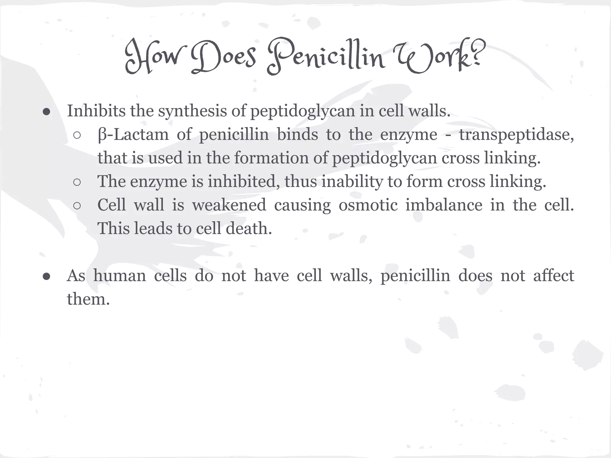 Penicillin Production | PDF