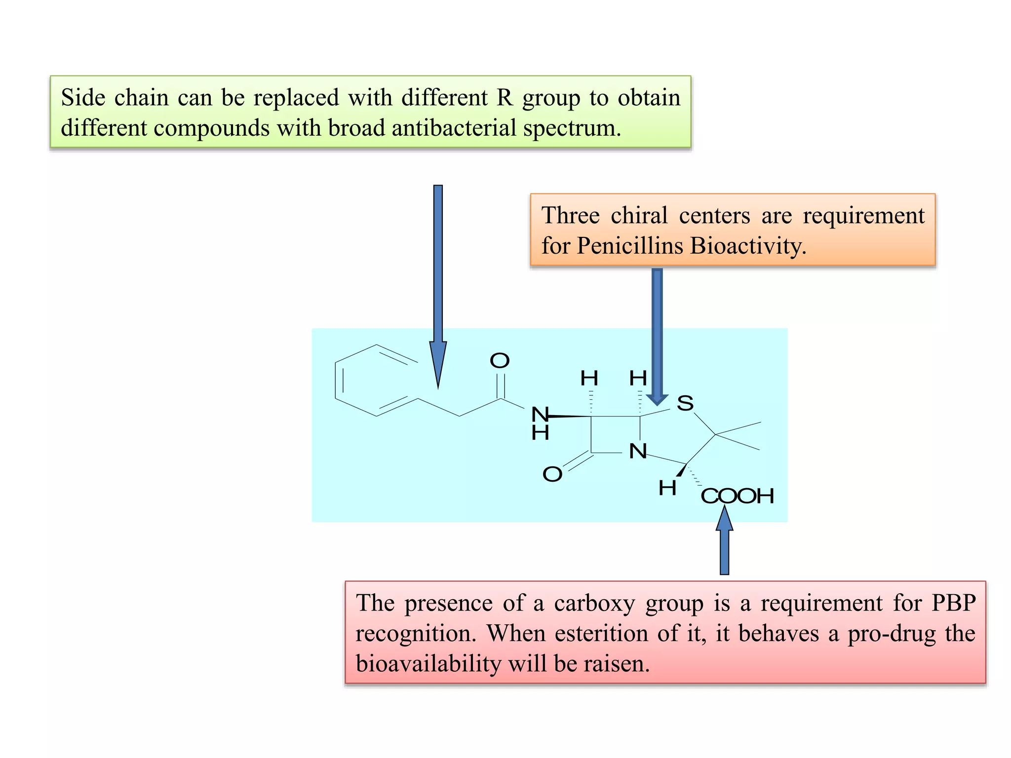 Penicillins | PPTX