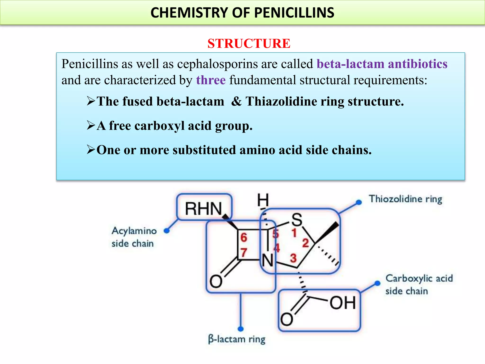 Penicillins | PPTX