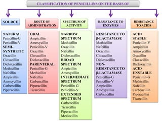 Penicillins | PPTX