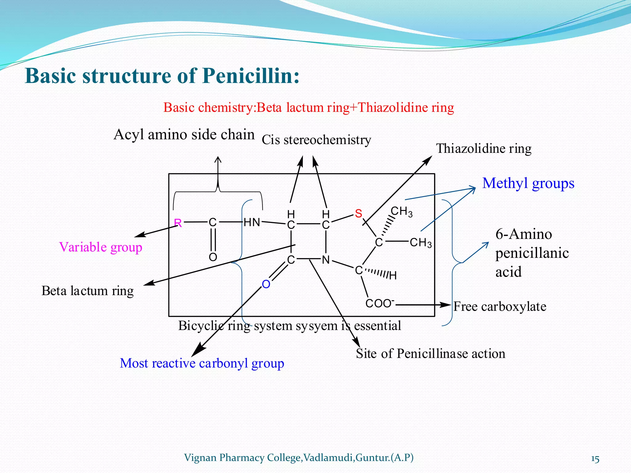 Penicillins by Dr. Panchumarthy Ravisankar M.Pharm., Ph.D. | PPTX