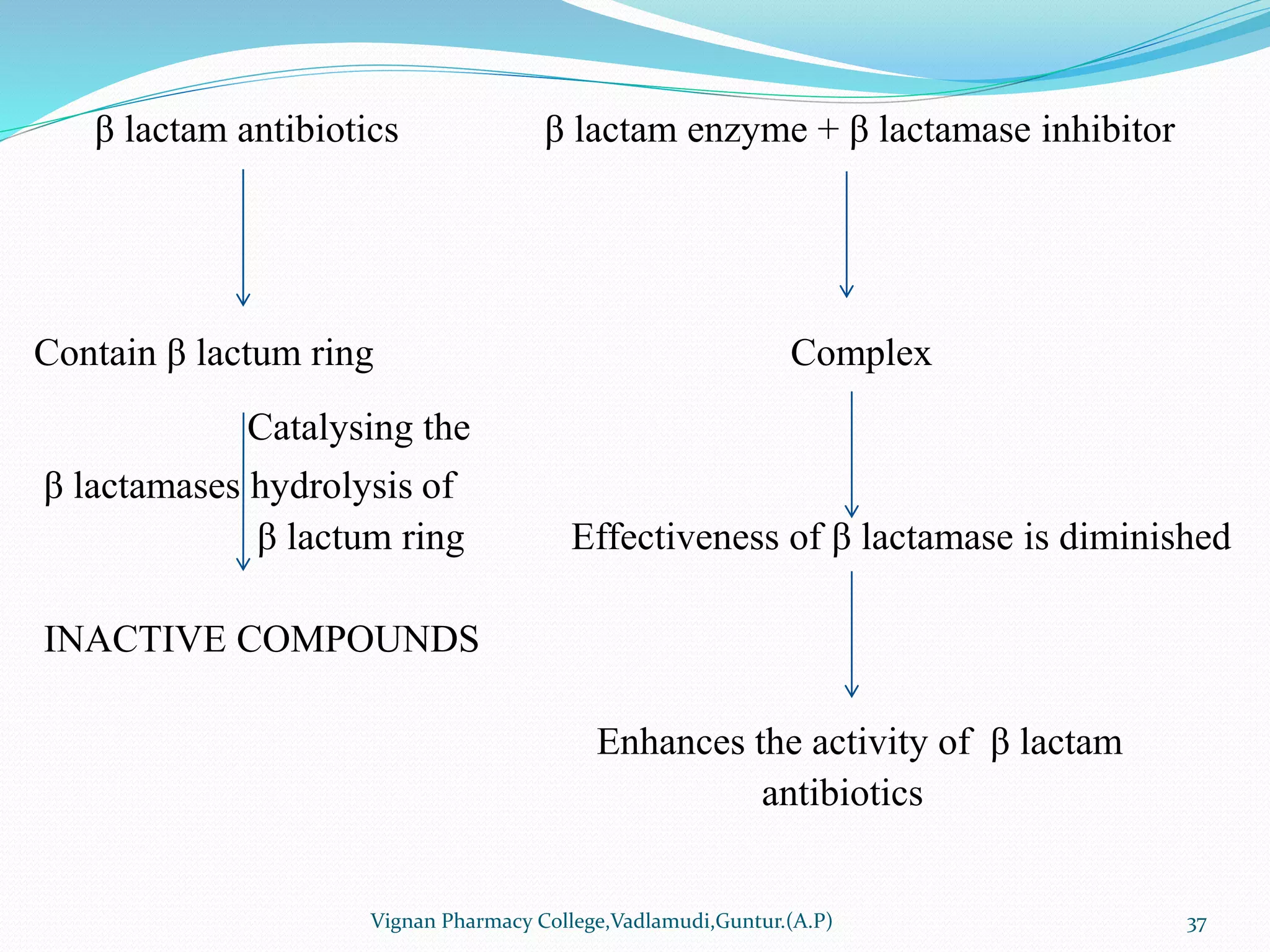 Penicillins by Dr. Panchumarthy Ravisankar M.Pharm., Ph.D. | PPTX