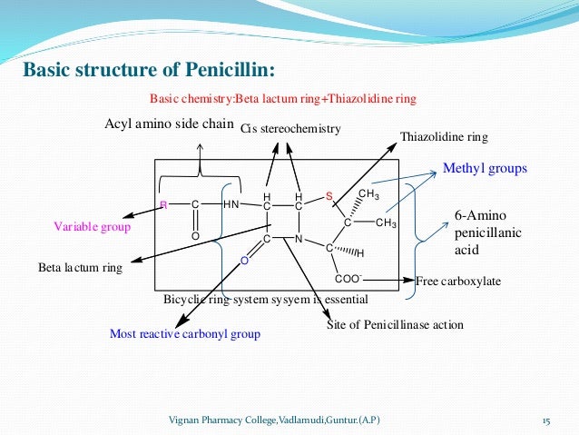 Penicillins by Dr. Panchumarthy Ravisankar M.Pharm., Ph.D.