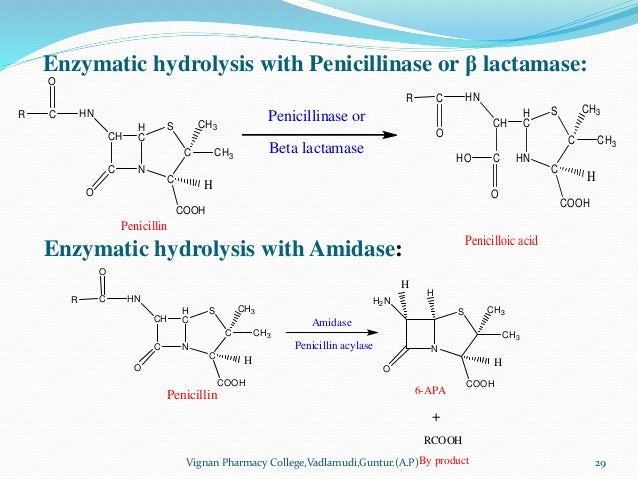 Penicillins by Dr. Panchumarthy Ravisankar M.Pharm., Ph.D.
