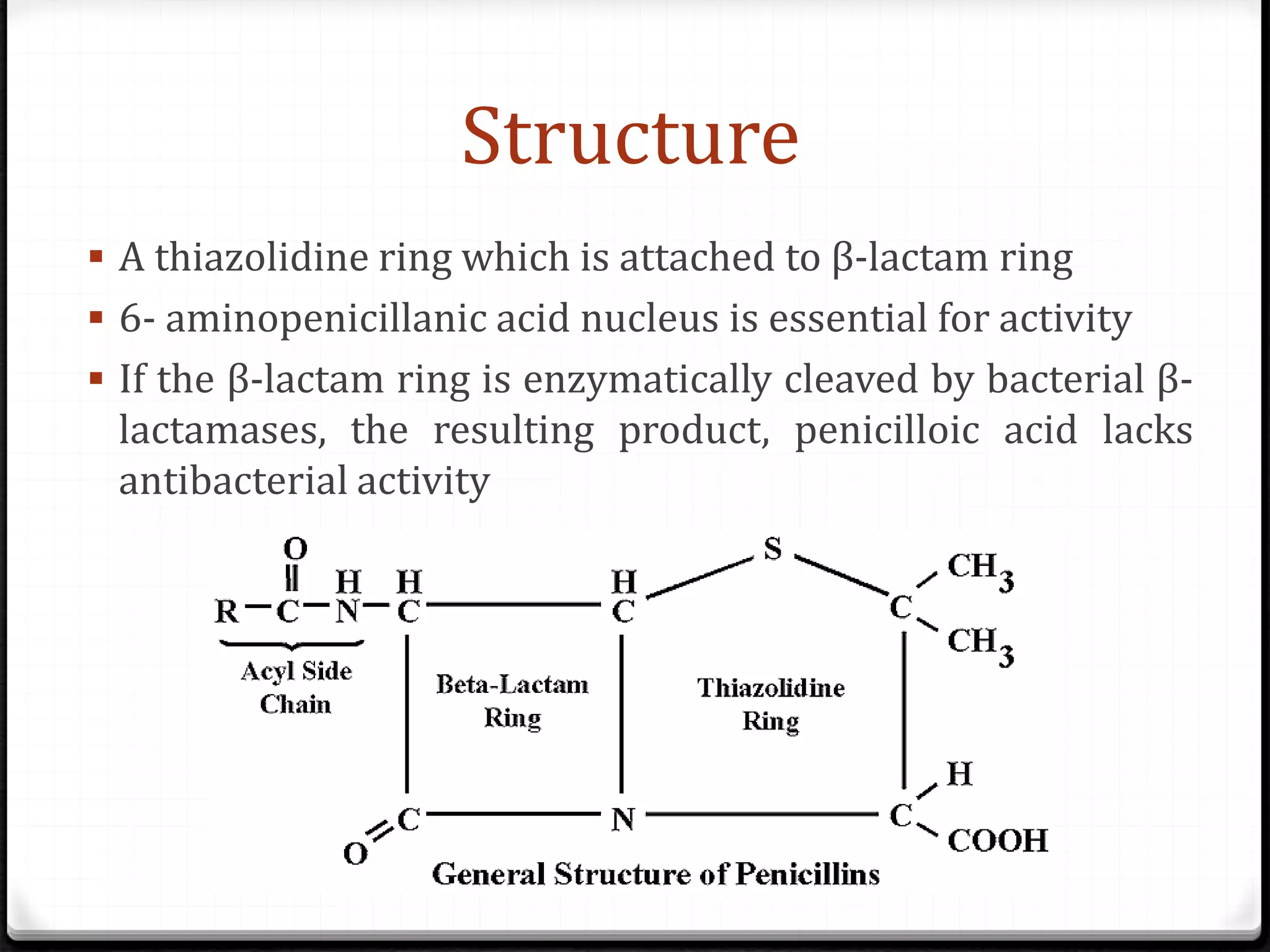 Penicillins (ANTIBIOTICS) | PPTX