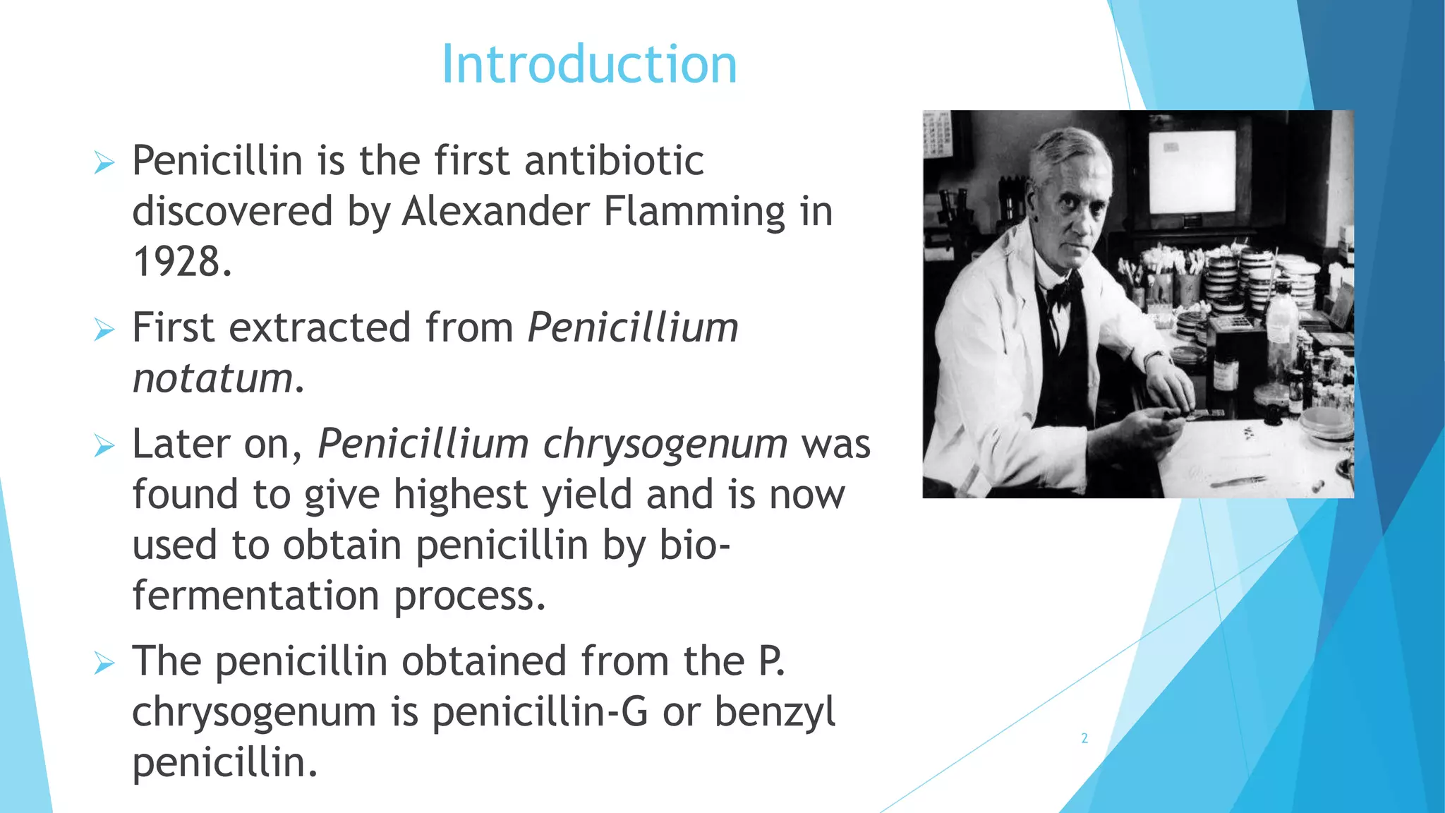 Penicillins | PPTX