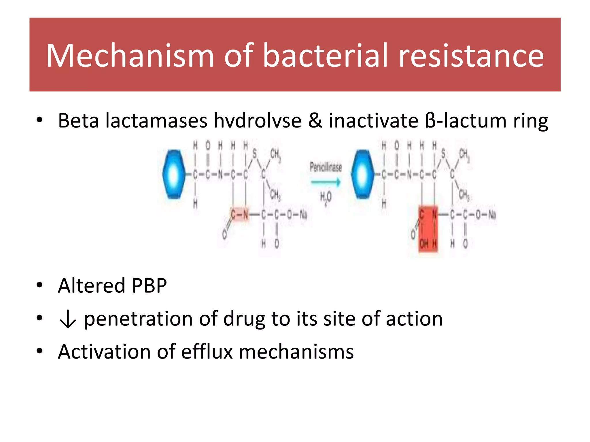 Penicillins | PPTX