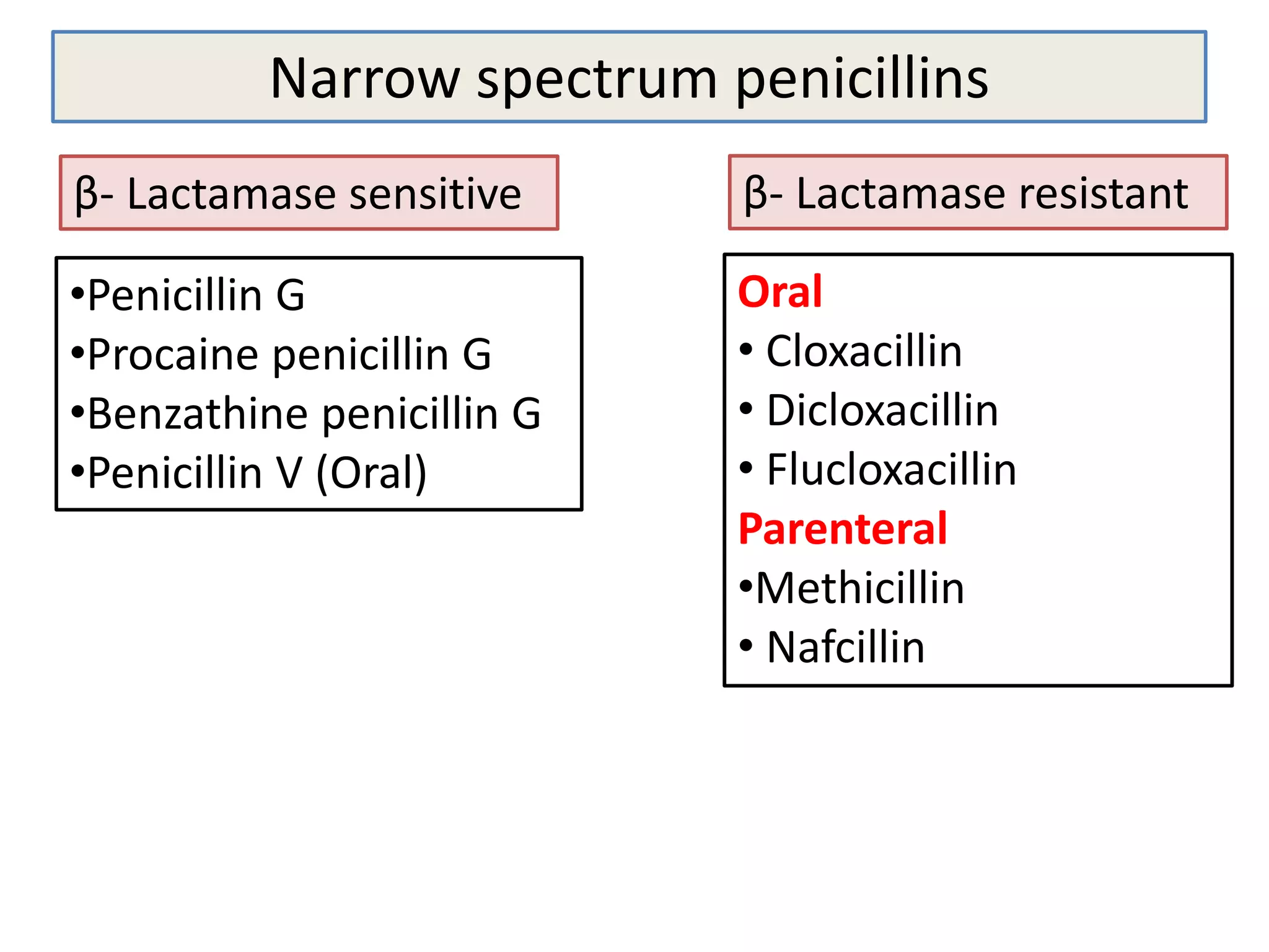 Penicillins | PPTX