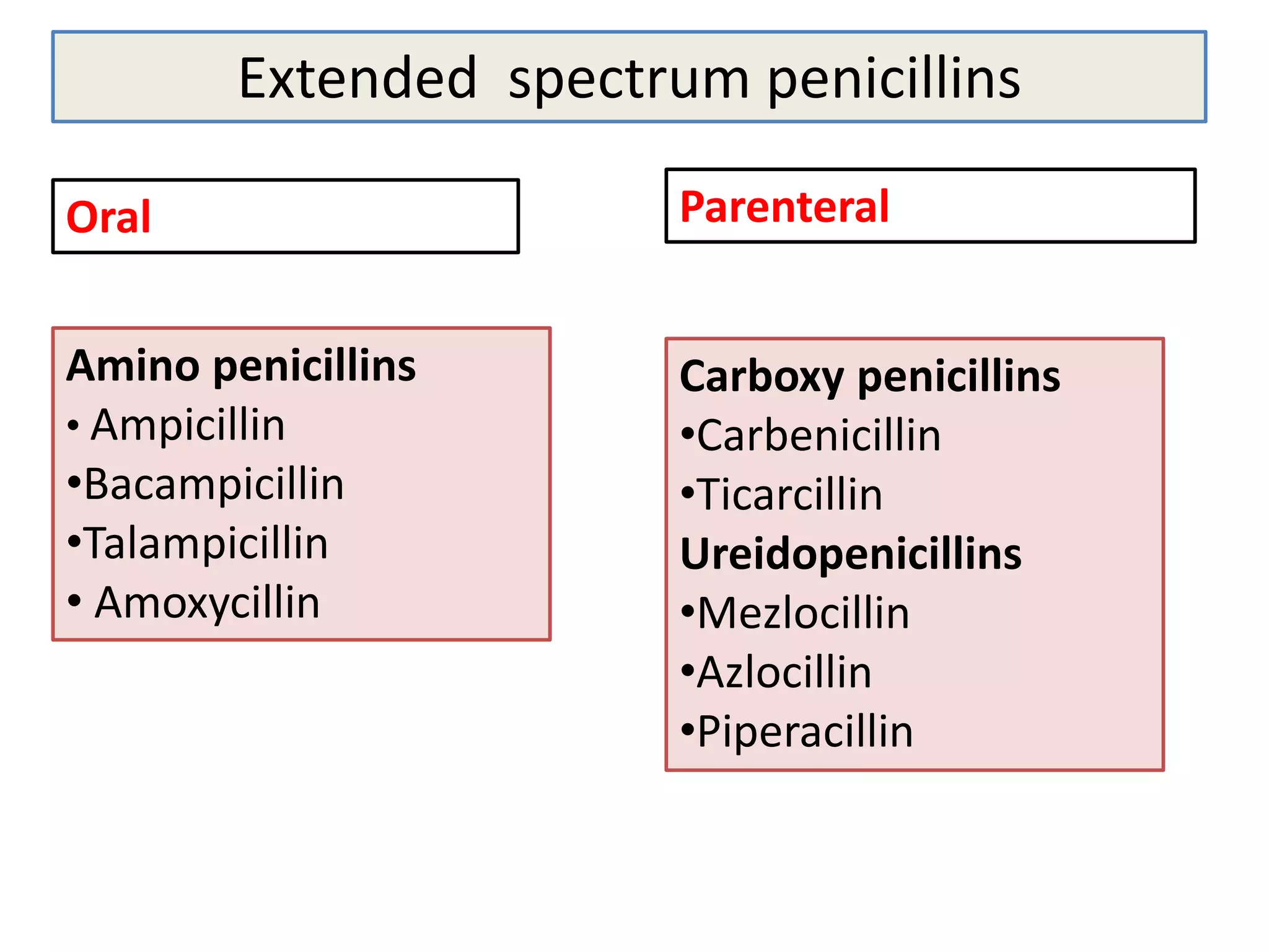 Penicillins | PPTX