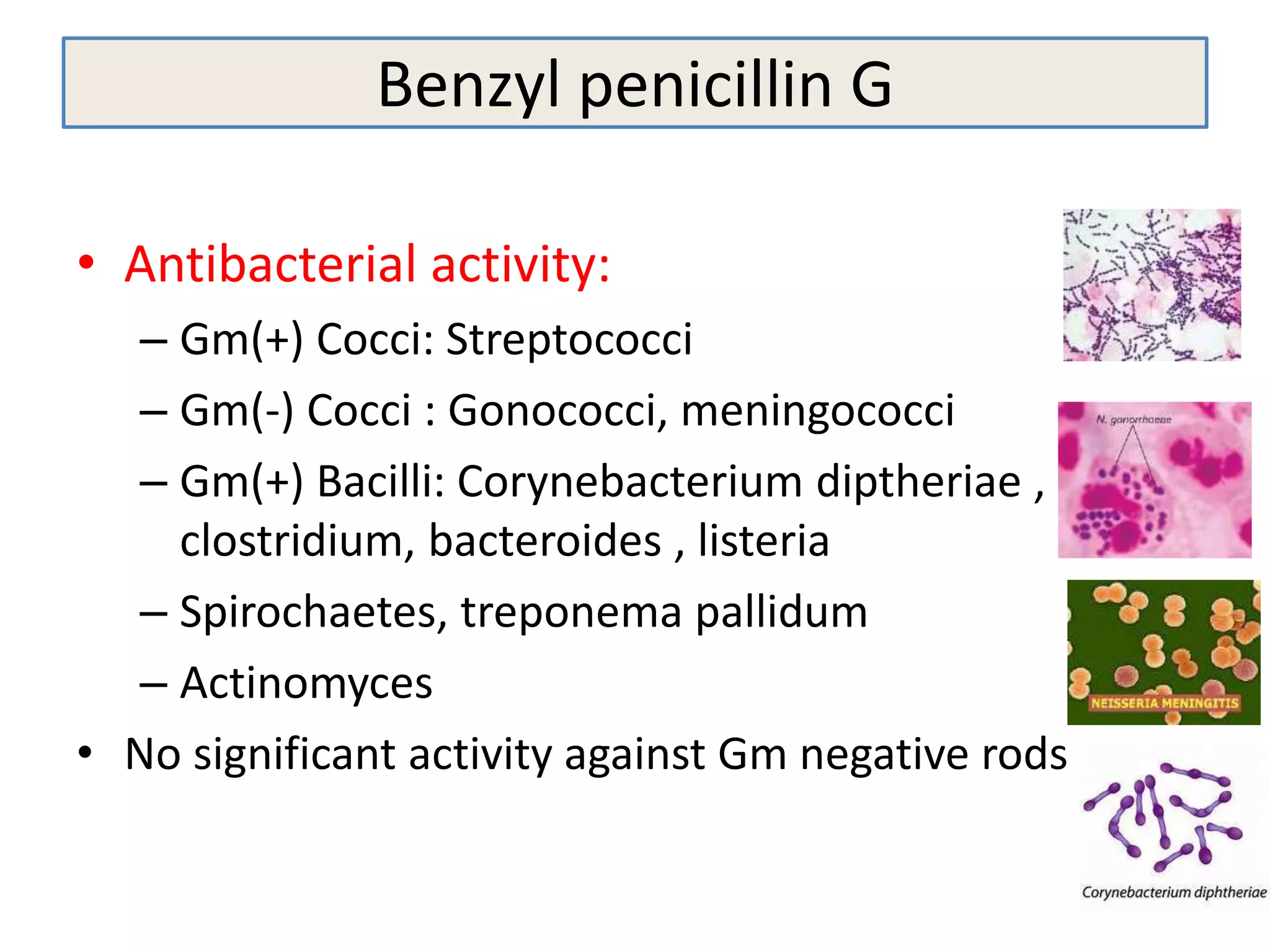 Penicillins | PPTX