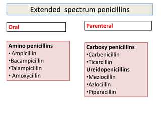 Penicillins | PPTX
