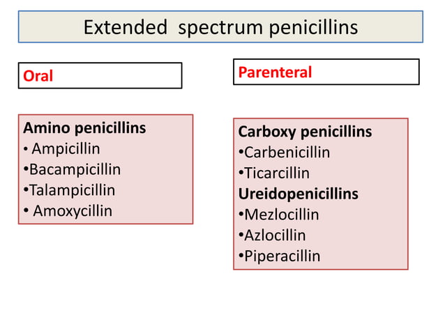 Penicillins | PPTX | Infectious Diseases | Diseases and Conditions