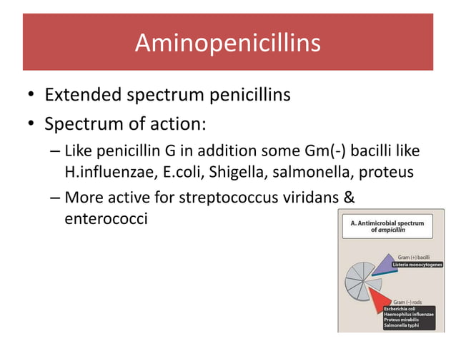 Penicillins | PPTX | Infectious Diseases | Diseases and Conditions