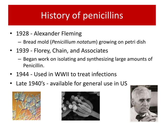 Penicillins | PPTX | Infectious Diseases | Diseases and Conditions