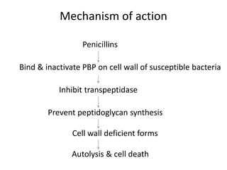 Penicillins | PPTX