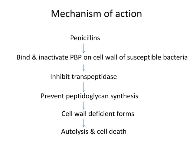 Penicillins | PPTX | Infectious Diseases | Diseases and Conditions
