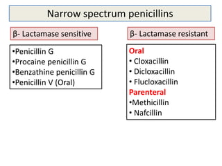 Penicillins | PPT