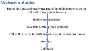 Pharmacology of penicillins | PPTX