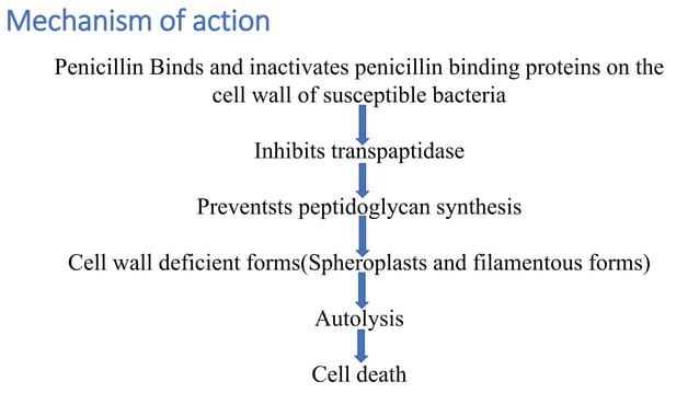 Pharmacology of penicillins | PPTX | Allergies | Diseases and Conditions