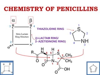 Penicillins | PPT
