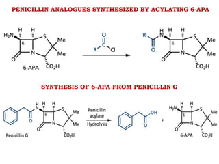 Penicillins | PPT