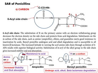 Penicillins | PPT | Chemistry | Science