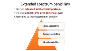 Penicillins.ppt