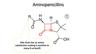 Penicillins.ppt