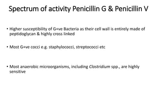 Penicillins.ppt