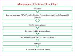 Penicillins- Mechanism of action, Antimicrobial spectrum ...