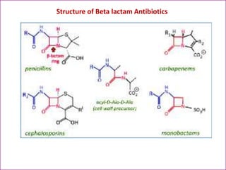 Penicillins- Mechanism of action, Antimicrobial spectrum ...