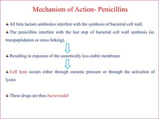 Penicillins- Mechanism of action, Antimicrobial spectrum ...