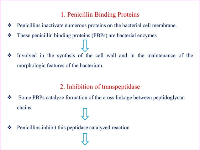 Penicillins- Mechanism of action, Antimicrobial spectrum ...