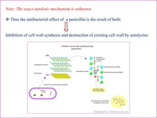 Penicillins- Mechanism of action, Antimicrobial spectrum ...