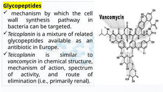 Penicillins and vancomycin antibiotics .ppt