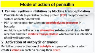 Penicillins and vancomycin antibiotics .ppt | Ear, Nose and Throat ...